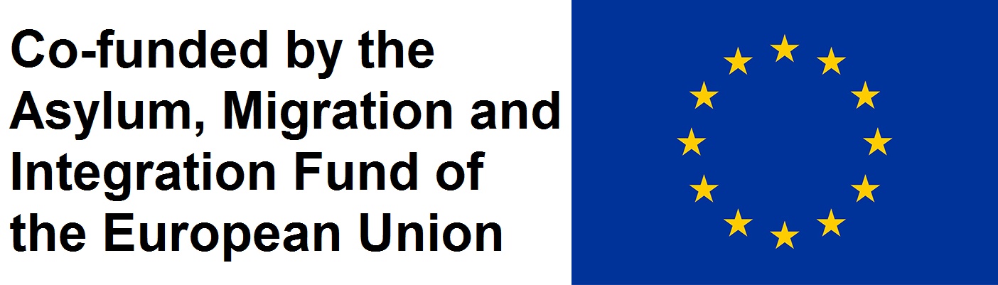 Capacity building of professionals supporting migrant women ...